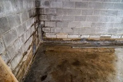 Scared of What a Wet Foundation Could Do to Your Home? - Foundation ...