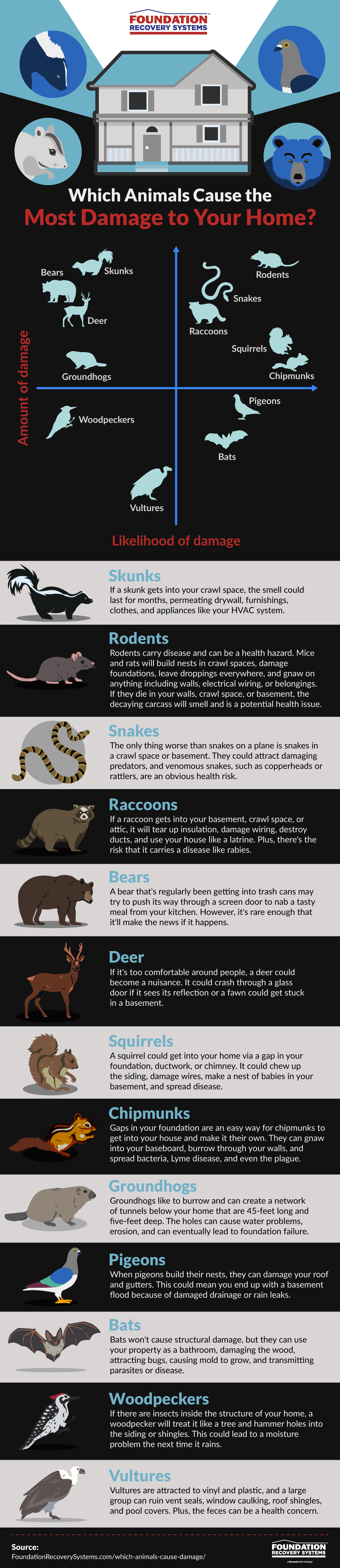 Home Damage and Animals To Watch For - Foundation Recovery Systems